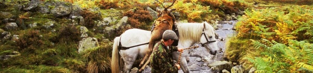 ADMG – Association of Deer Management Groups